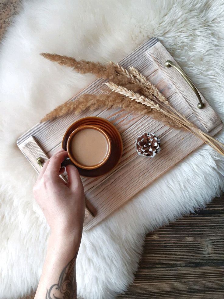 WHAT TRAYS ARE AVAILABLE, HOW TO CHOOSE THEM AND WHERE TO USE THEM ...